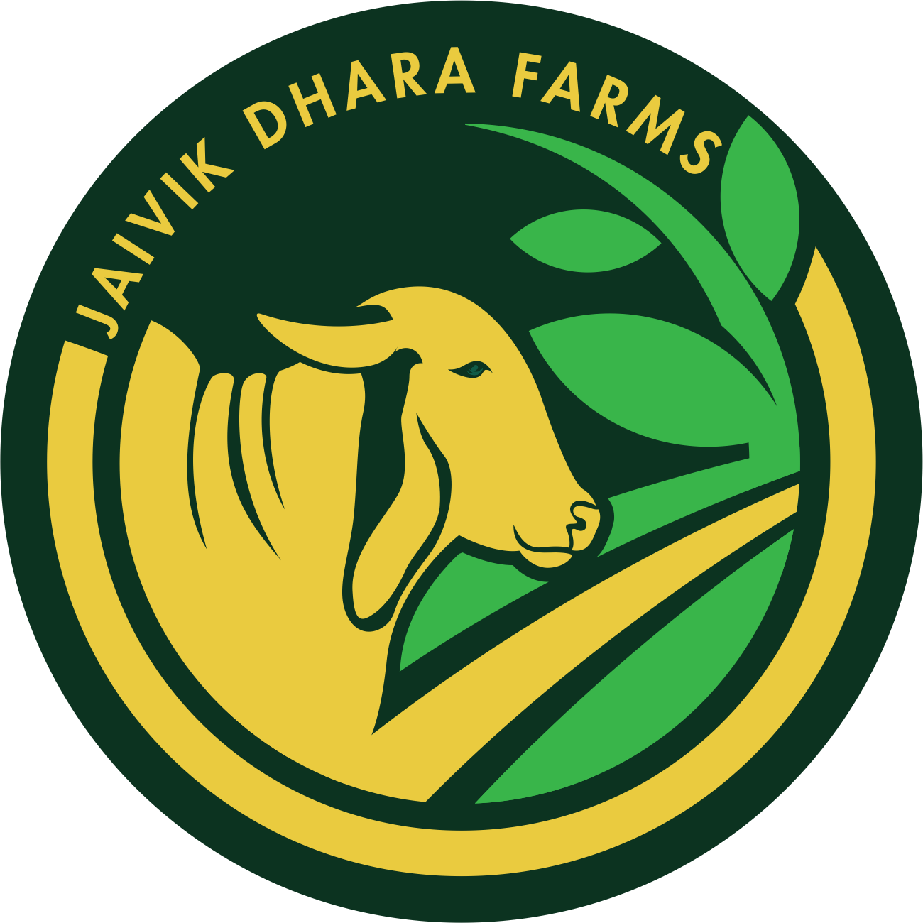 Jaivik Dhara - Pure A2 Gir Cow Milk & Organic Dairy Products